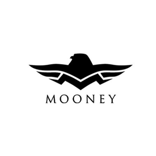 Mooney – Aircraft Security
